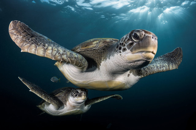 Un universo sott’acqua (Foto) - Internazionale