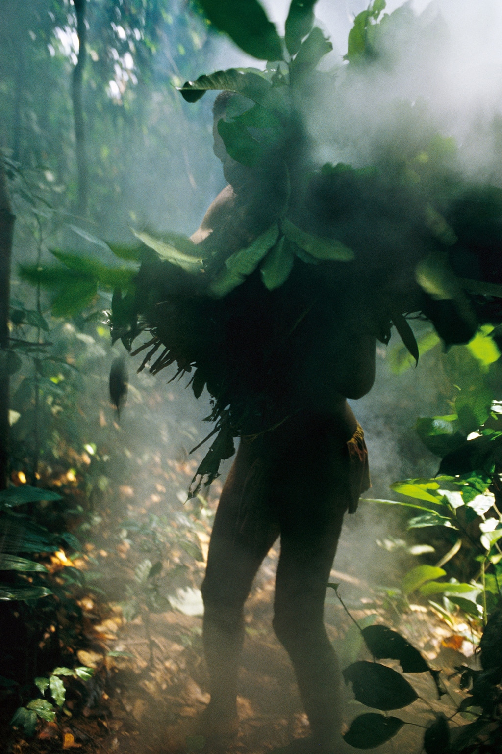 Una vita selvaggia (Foto) - Internazionale