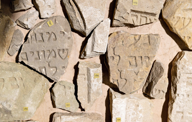 L’antica diversità degli ebrei ashkenaziti - Judy Siegel-Itzkovich ...