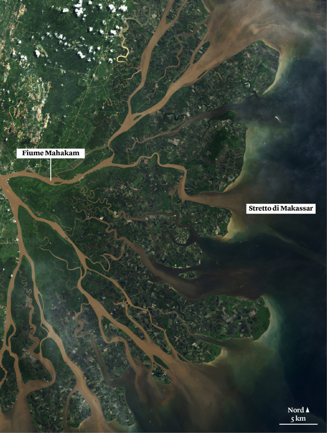 Il delta del fiume Mahakam, in Indonesia - Internazionale