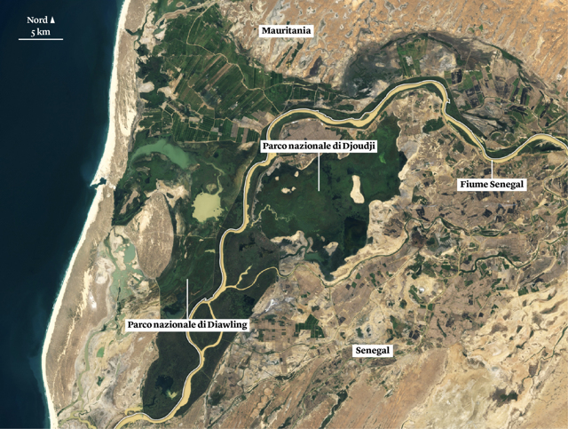 Il delta del fiume Senegal - Internazionale