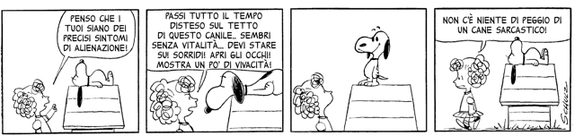 Le strisce del numero 1570: Peanuts, 1960 - Internazionale