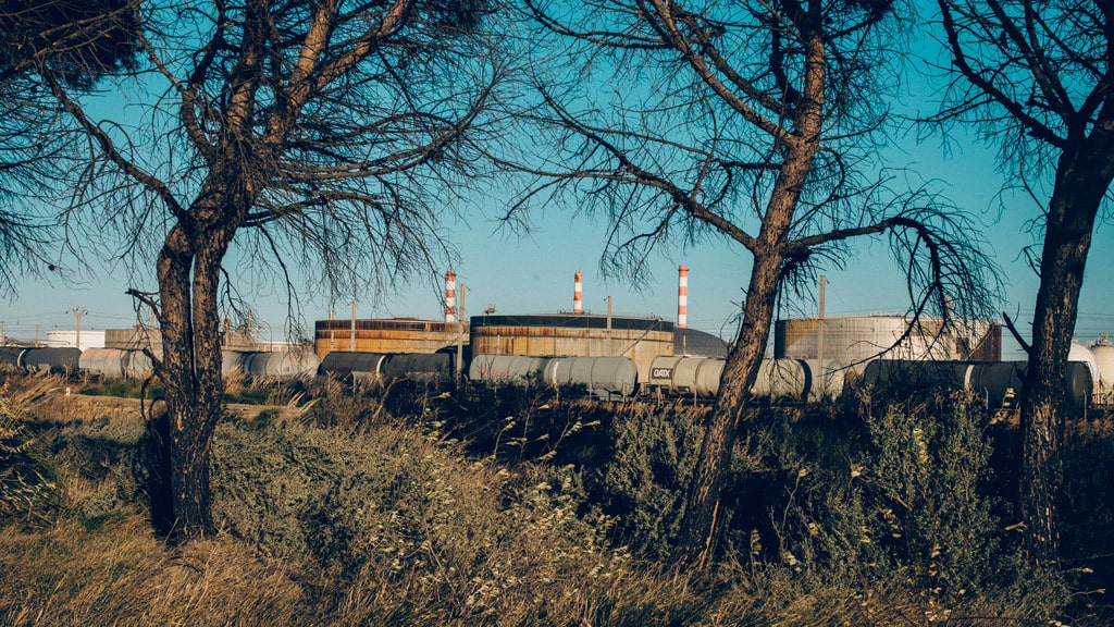 Marco Segato racconta una scena di La pelle dell’orso (Video ...