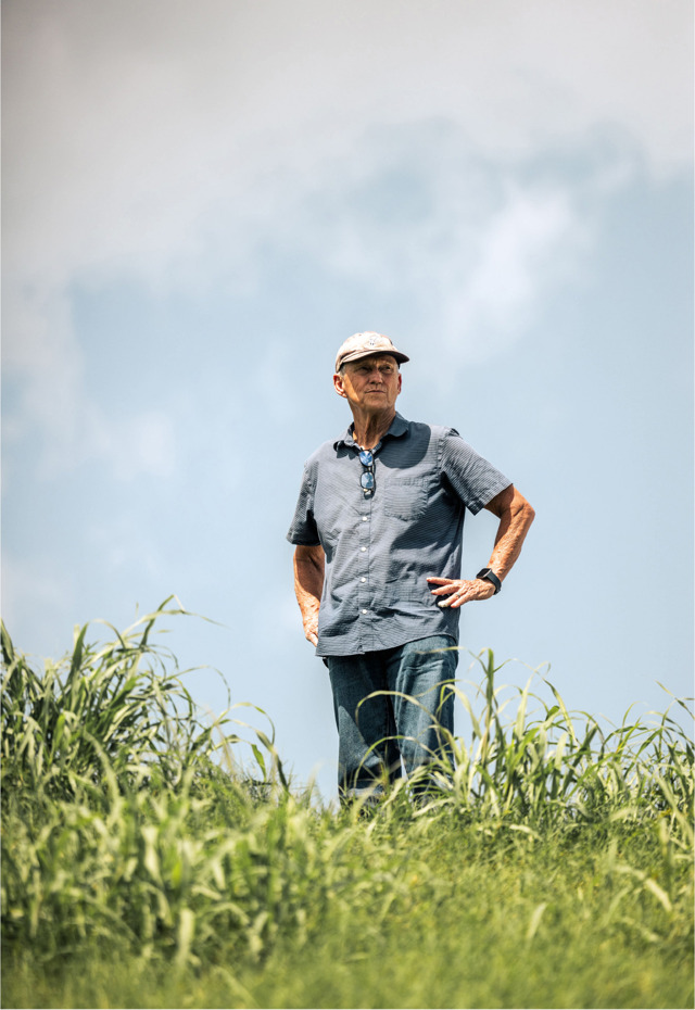 Windell Curole. Acqua alta - Katie Thornton - Internazionale